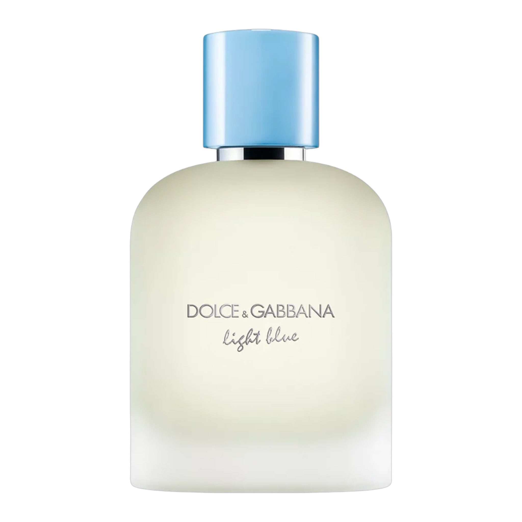 D&G Light Blue Men 2025 Samples | Woody Aromatic